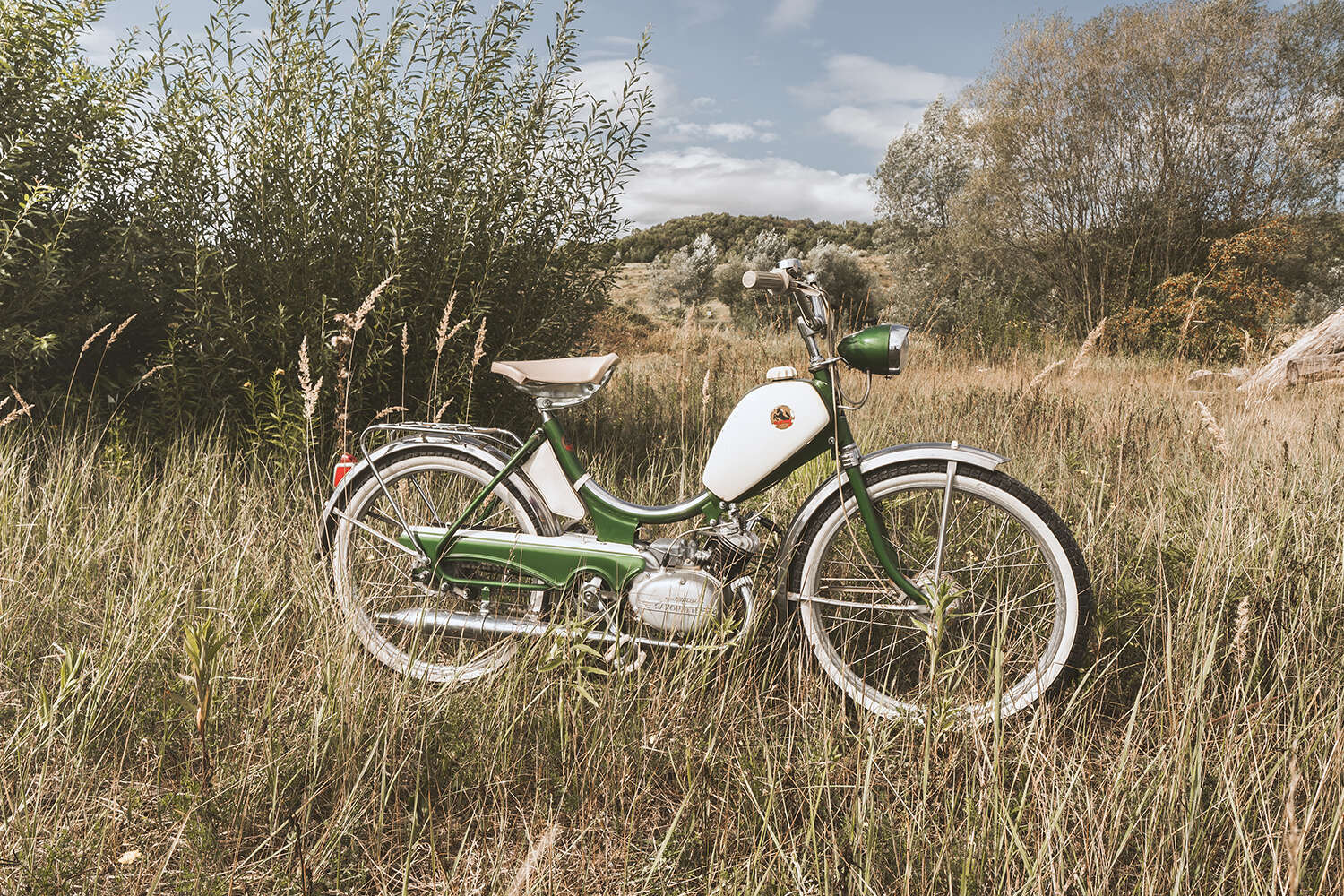 «SACHS» | mofakult